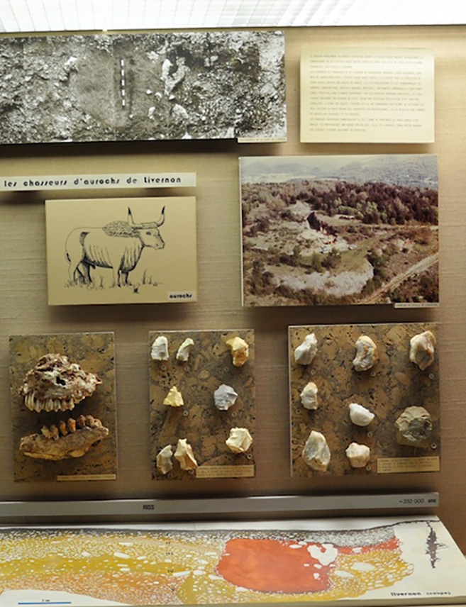 Pech Merle prehistory centre and cave